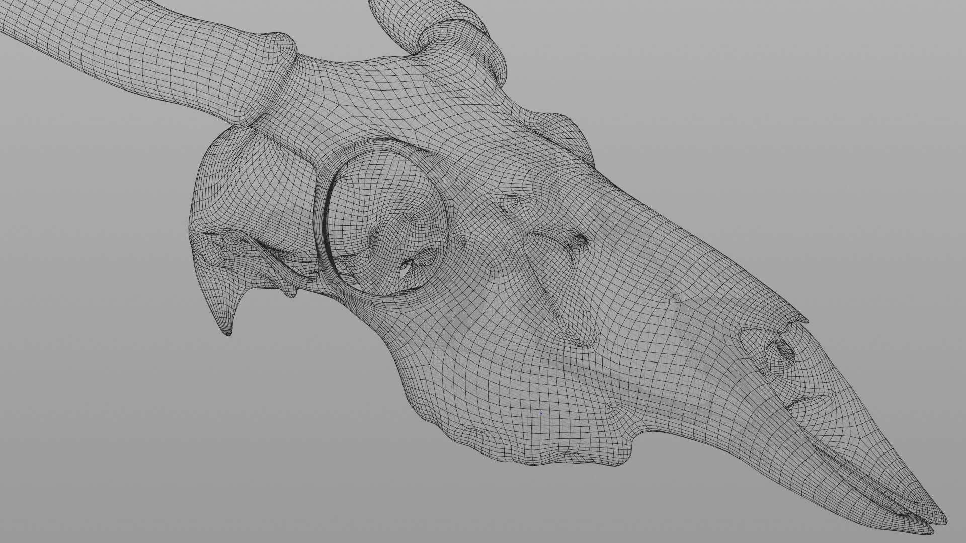 3D Deer Skull - TurboSquid 2099391