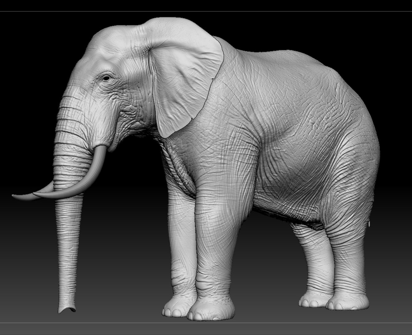 Elephant Zbrush Obj
