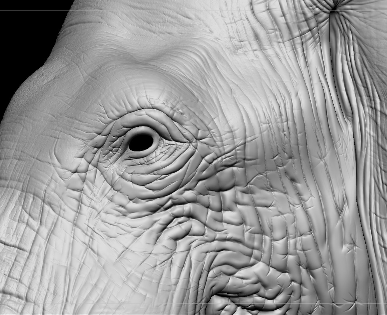 Elephant Zbrush Obj