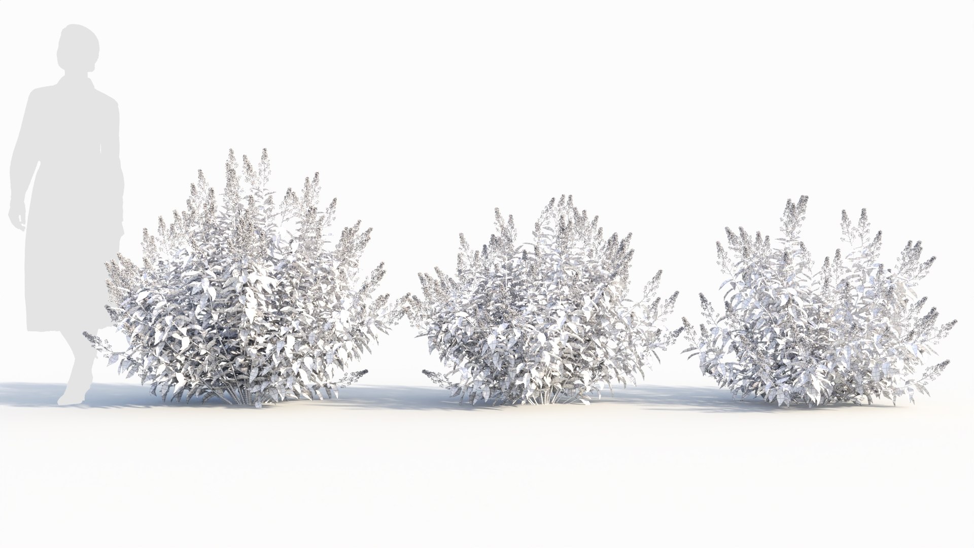 Spiraea Alb C 3D - TurboSquid 2207941