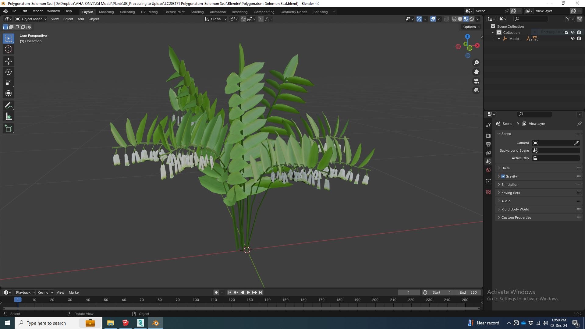 Polygonatum-Solomon Seal 3D Model - TurboSquid 2325567