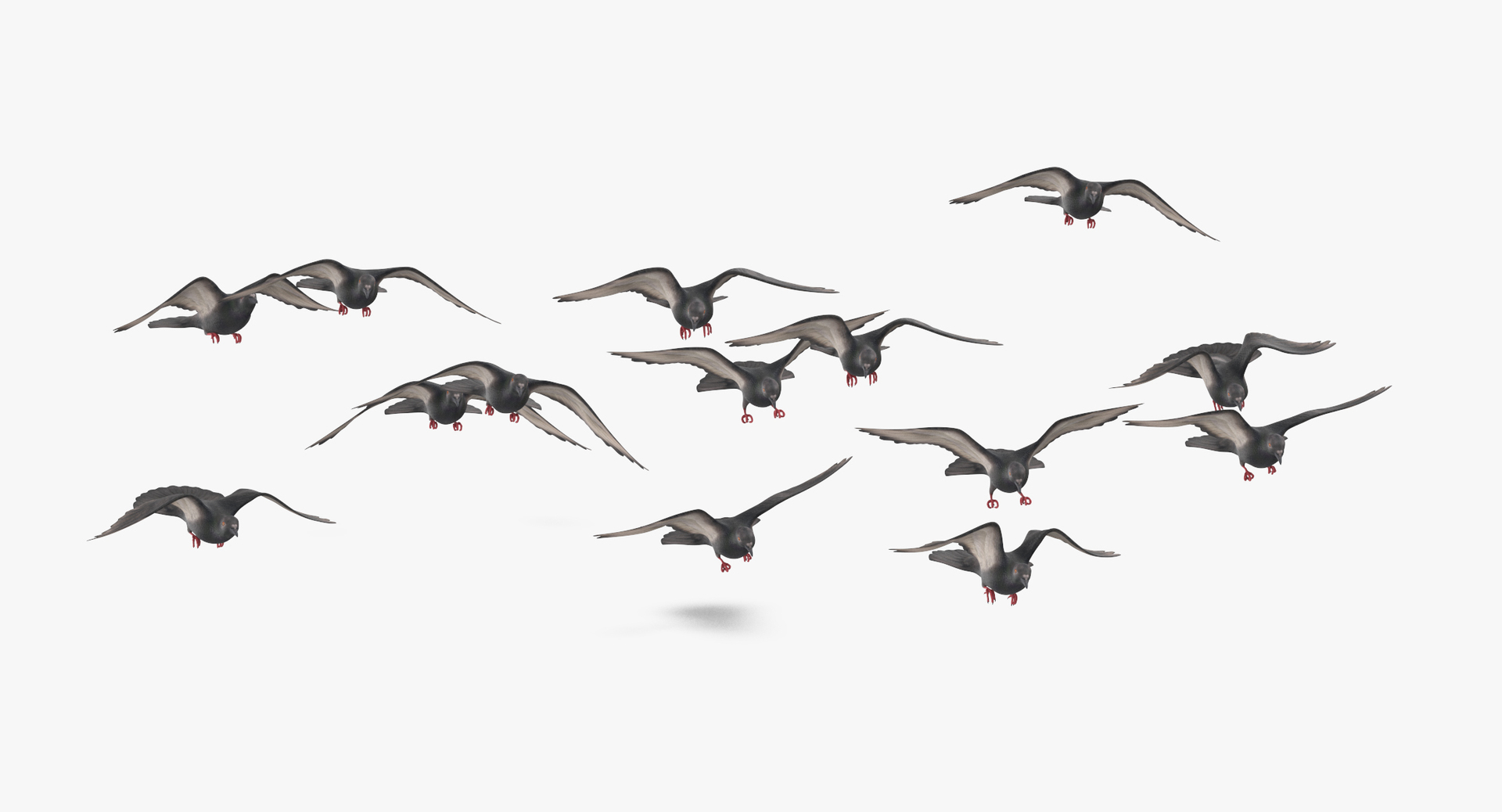 Small Flocks Pigeons Flying 3D Model - TurboSquid 1333200