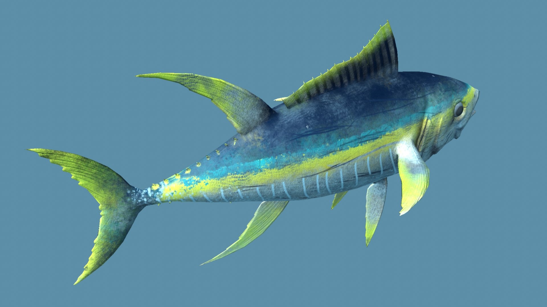 3D Tuna Fish Model - TurboSquid 2191260