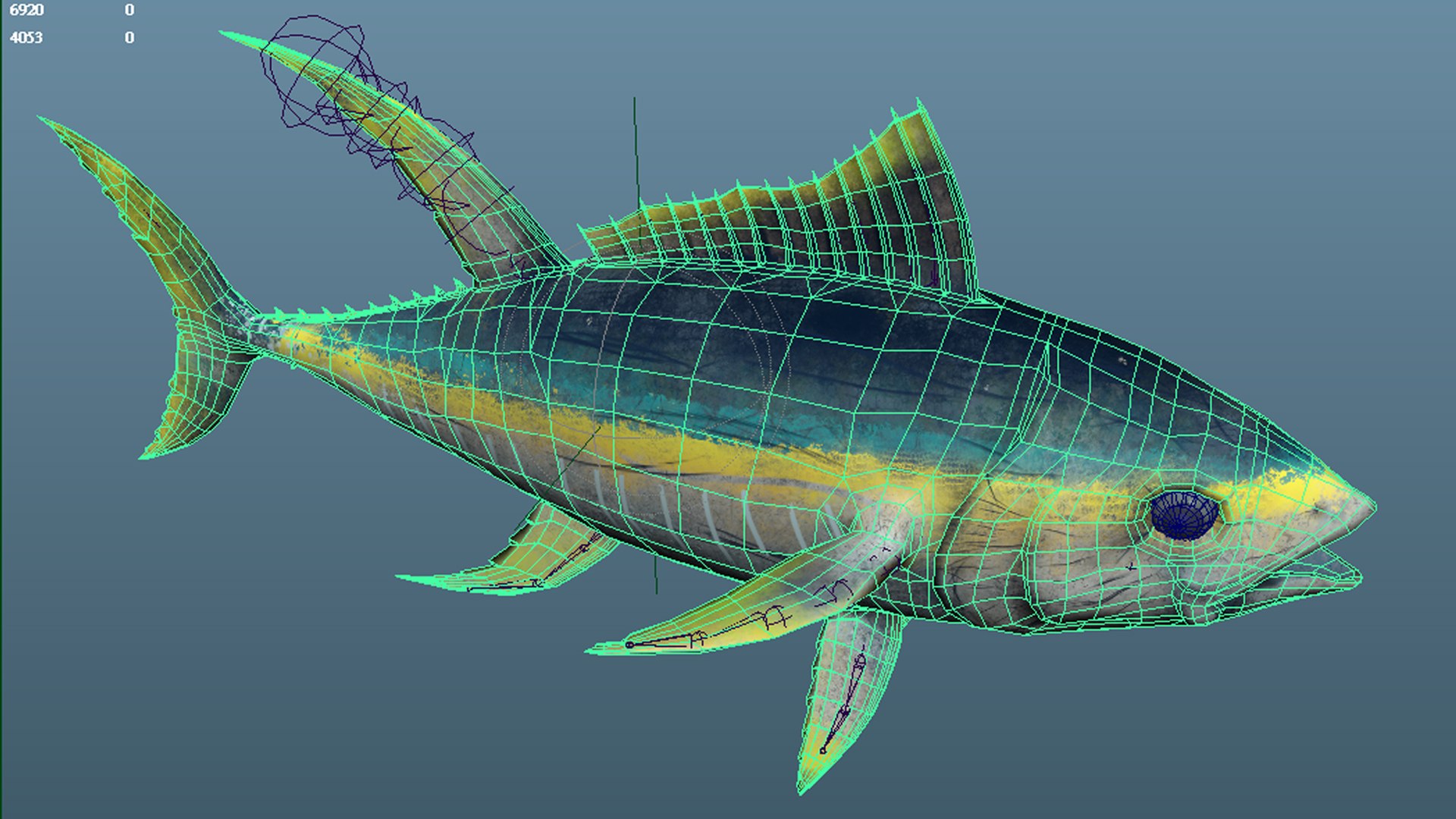 3D Tuna Fish Model - TurboSquid 2191260