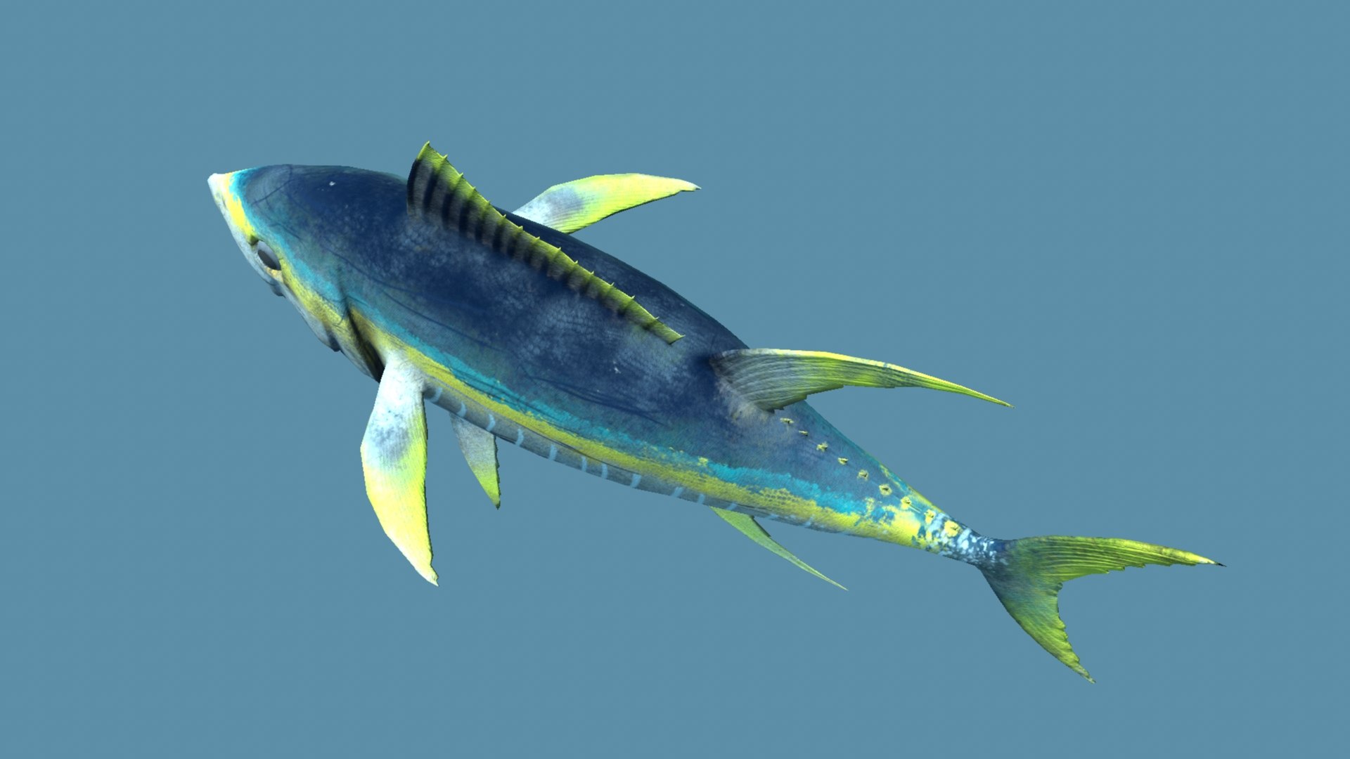 3D Tuna Fish Model - TurboSquid 2191260