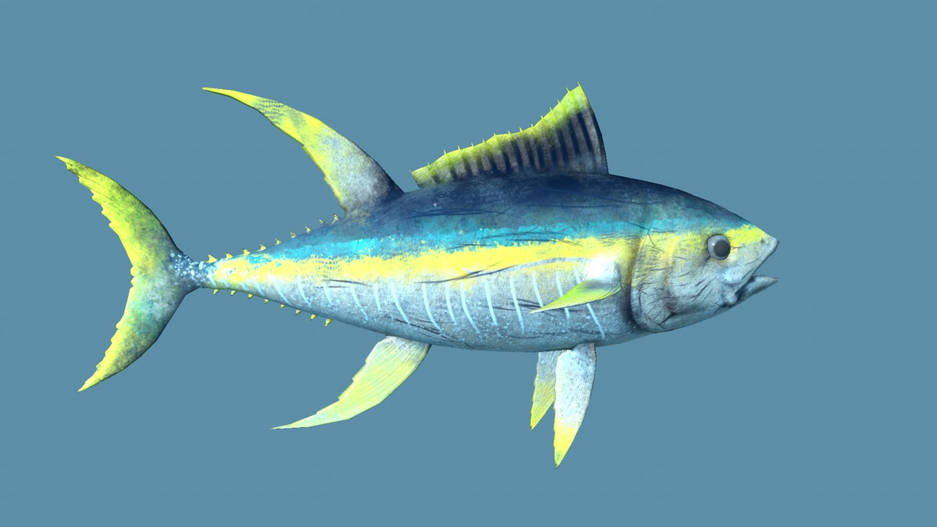 3D Tuna Fish Model - TurboSquid 2191260