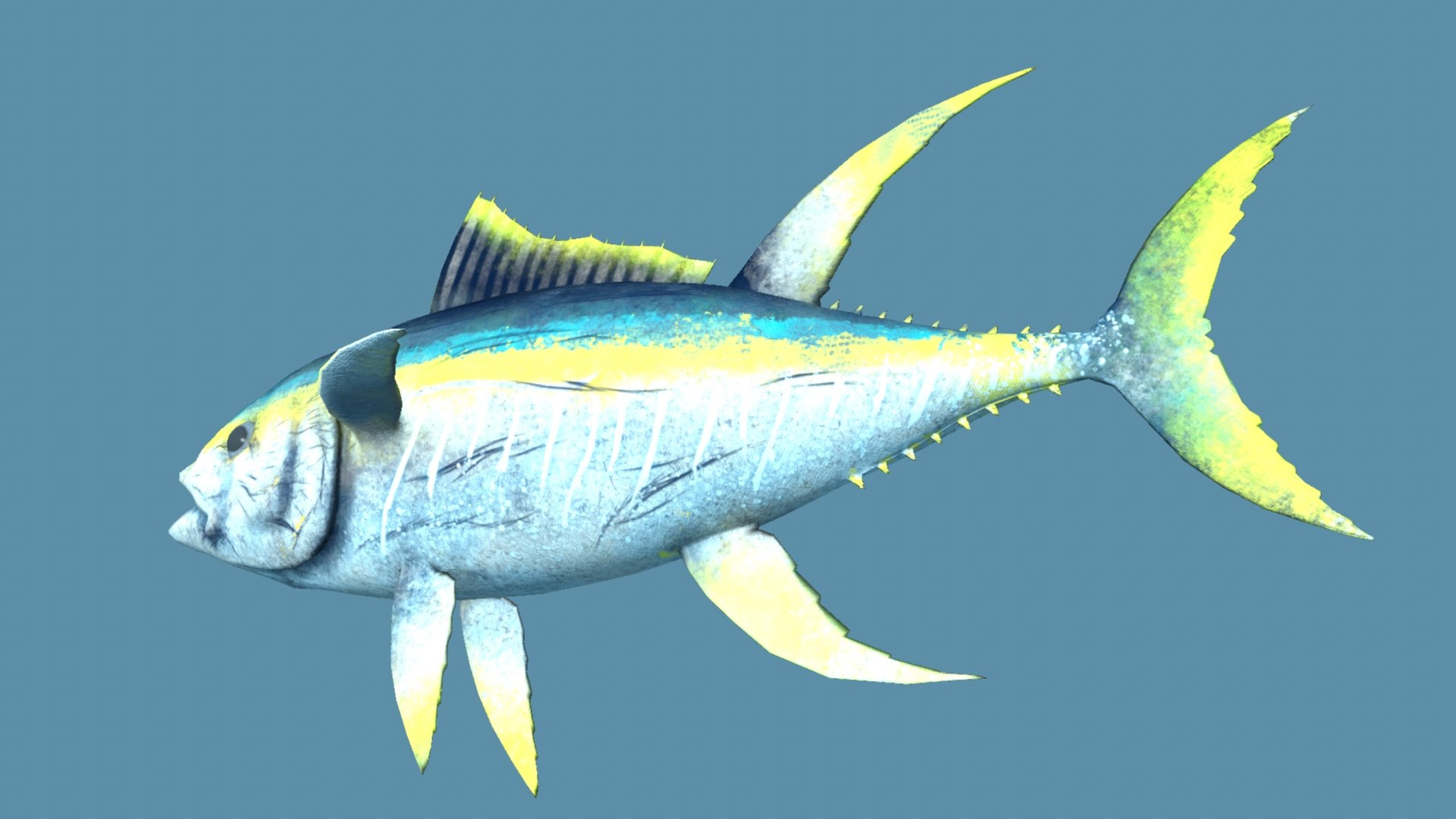 3D Tuna Fish Model - TurboSquid 2191260