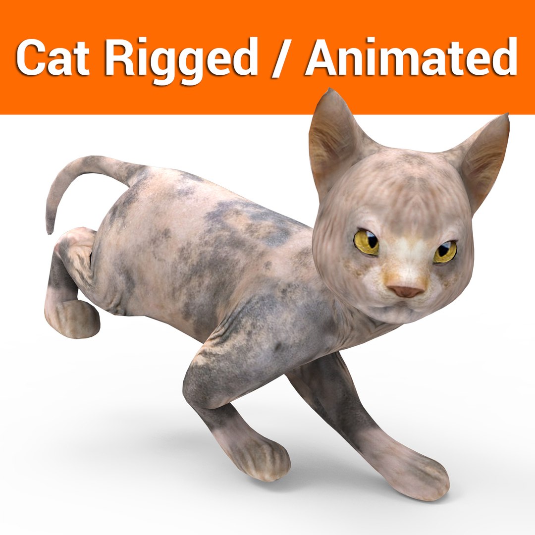 3D cat rigged animation model - TurboSquid 1204631