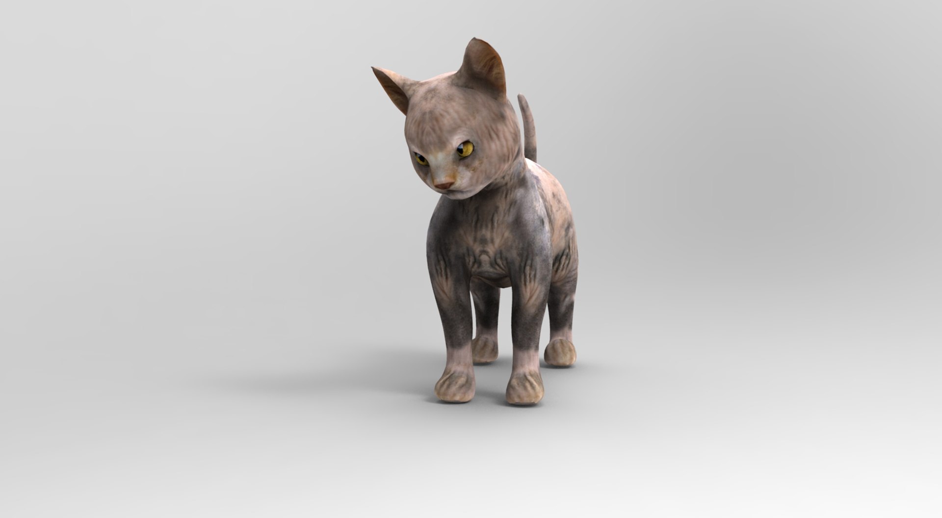 3D cat rigged animation model - TurboSquid 1204631