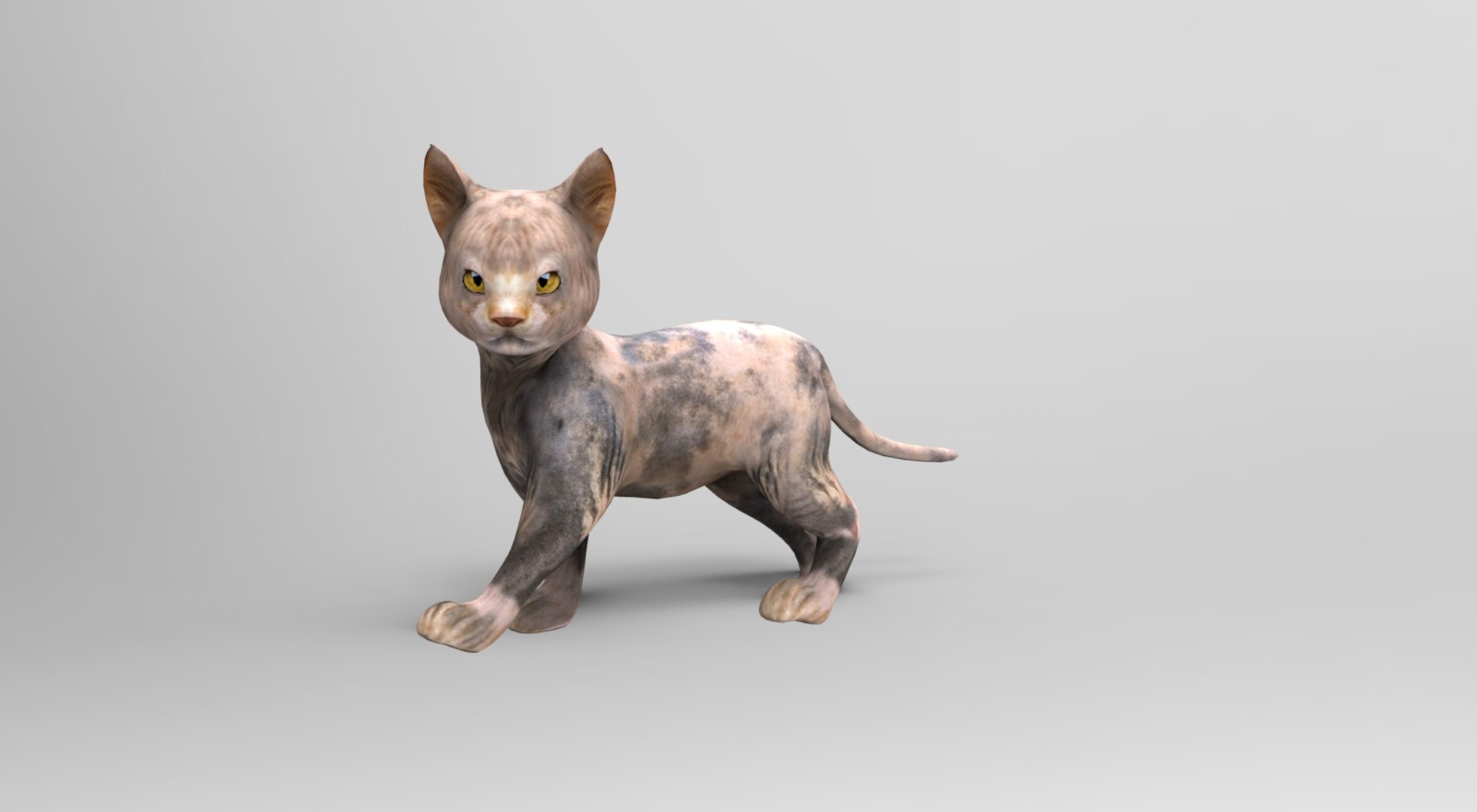 3D cat rigged animation model - TurboSquid 1204631