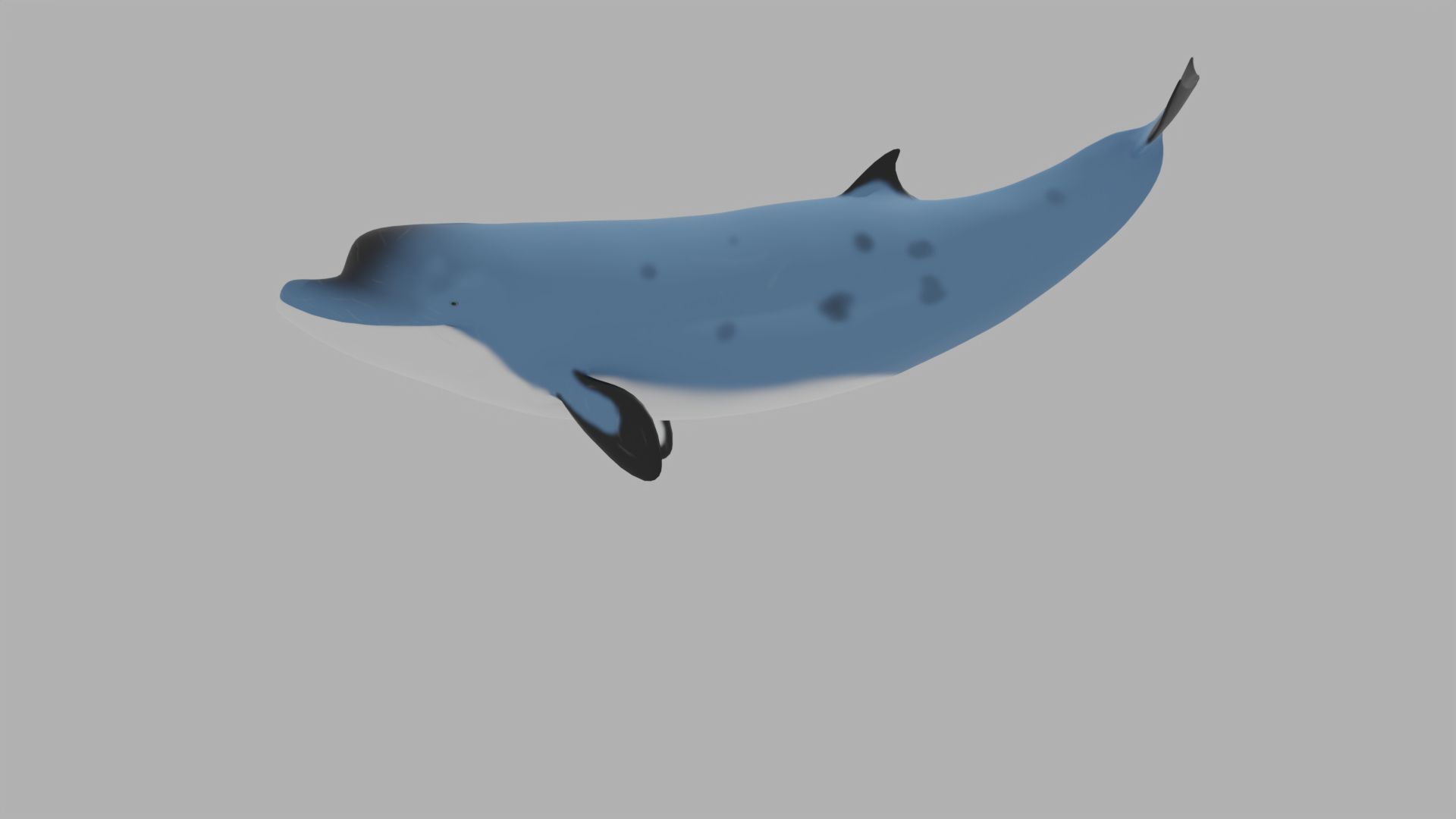 3D Acrophyseter Model - TurboSquid 2375716