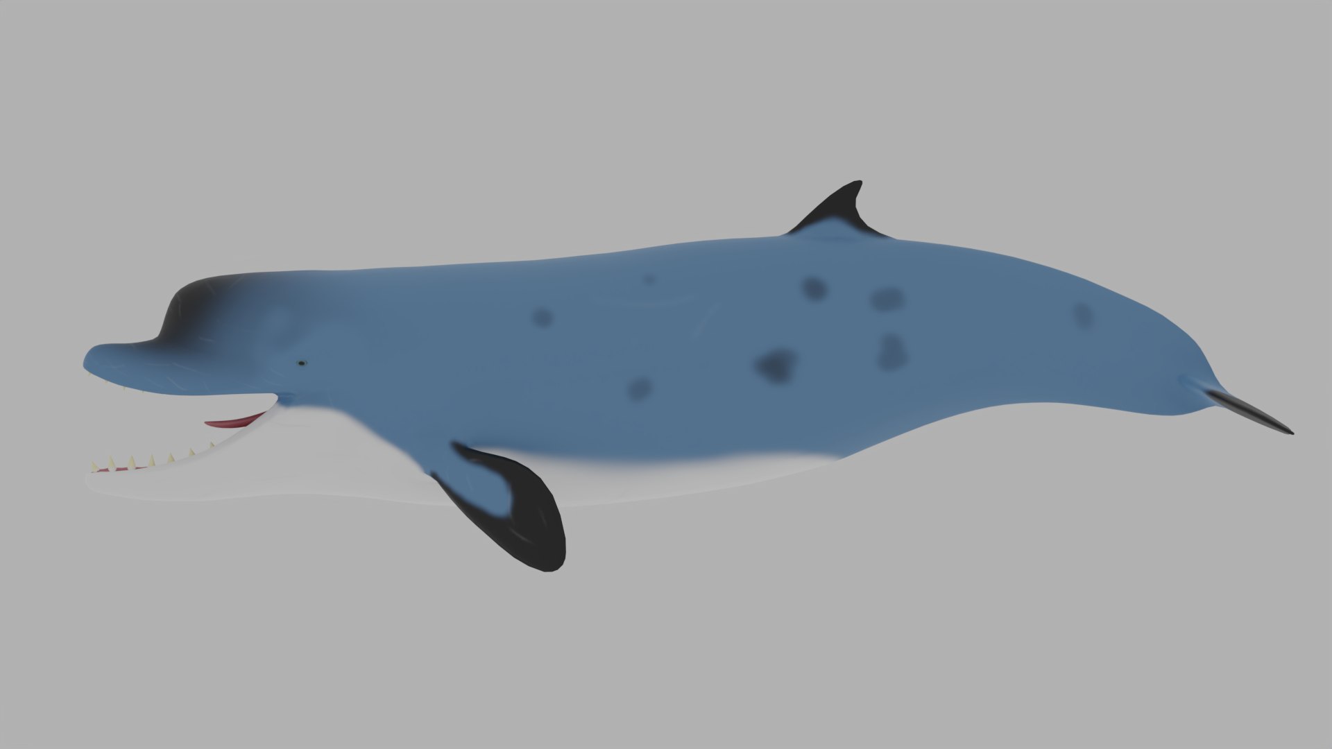 3D Acrophyseter Model - TurboSquid 2375716