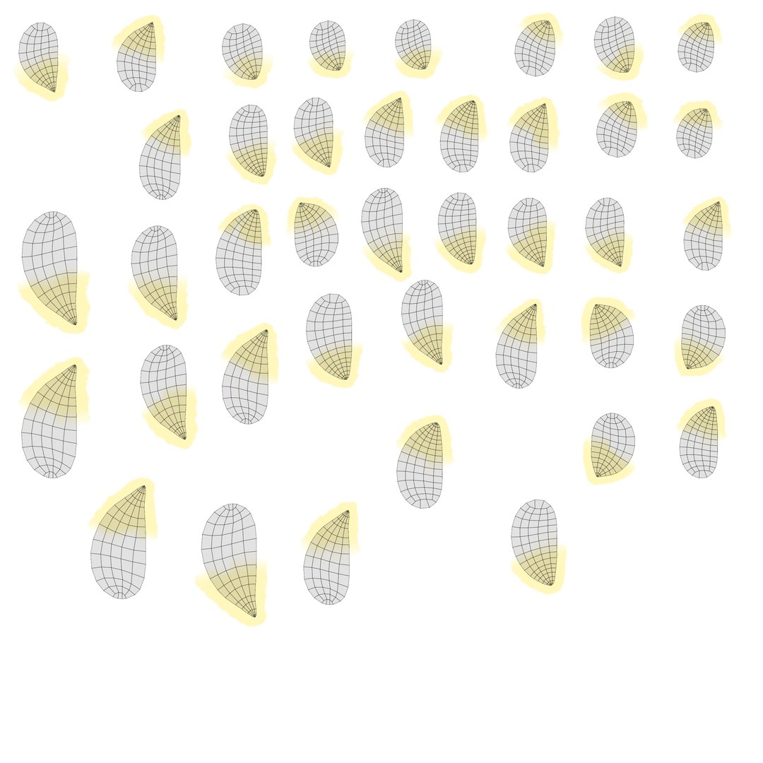 3D Acrophyseter Model - TurboSquid 2375716