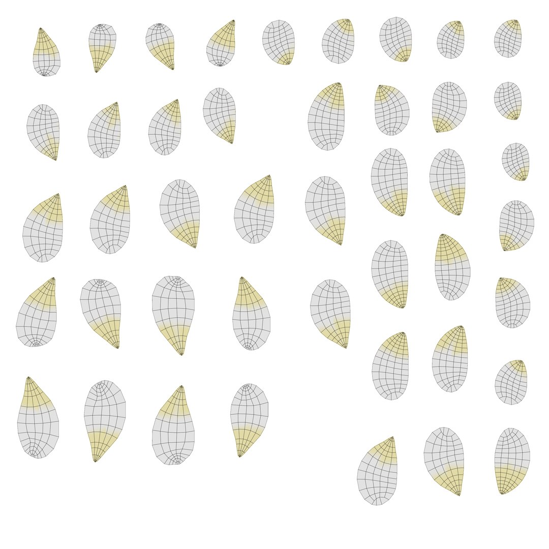 3D Acrophyseter Model - TurboSquid 2375716