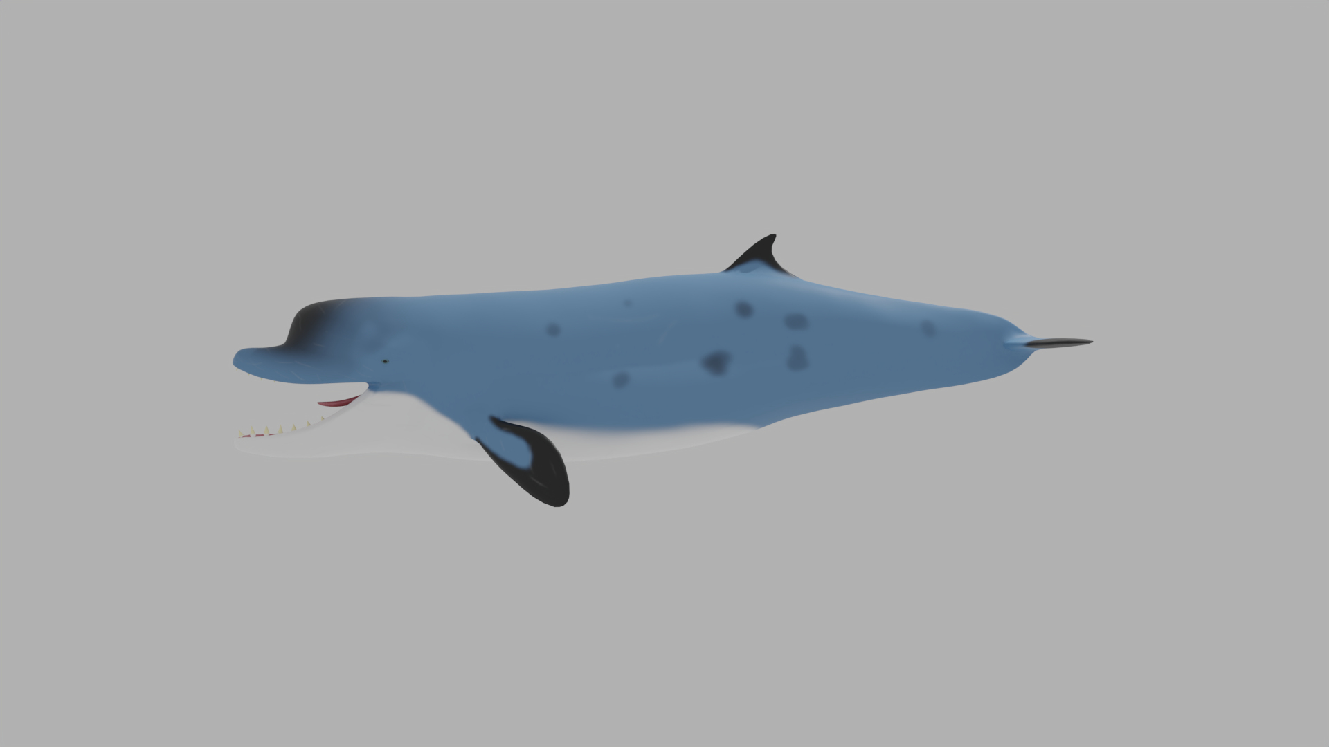 3D Acrophyseter Model - TurboSquid 2375716