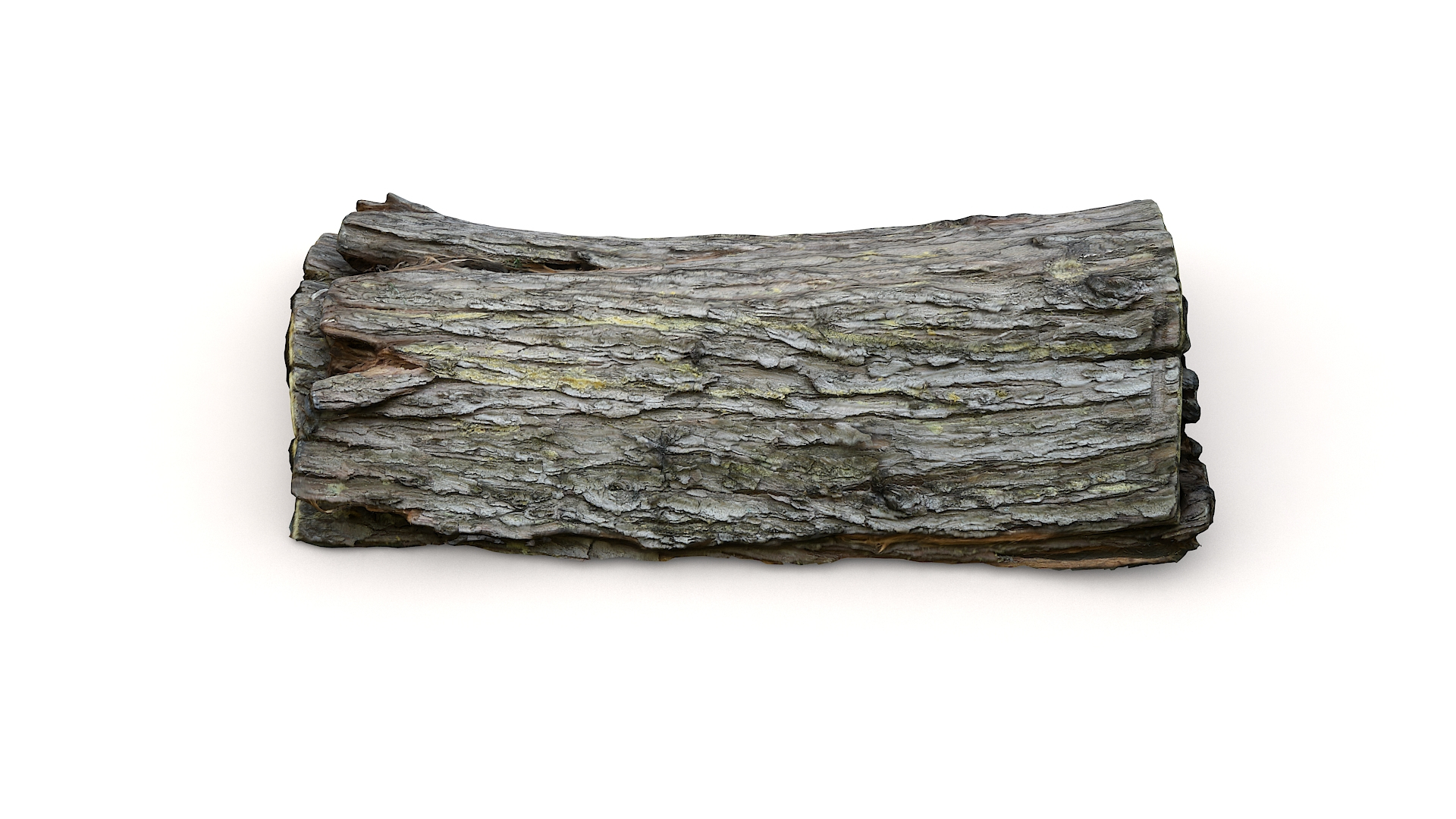 Retopology Bark 3D Model - TurboSquid 1444069