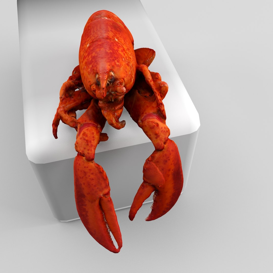 3d Model Cooked Lobster
