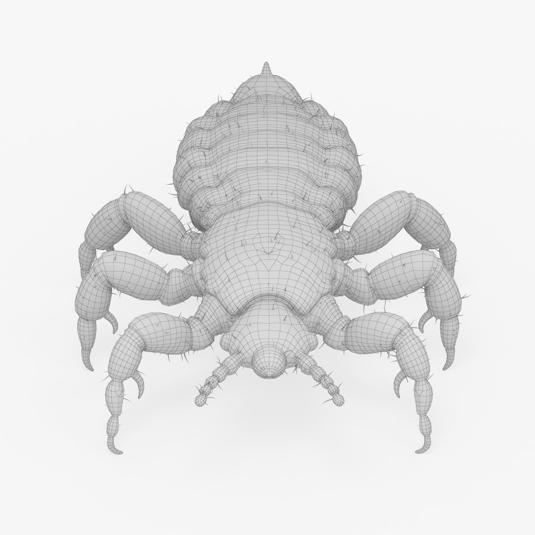 Louse animation bite model - TurboSquid 1393845