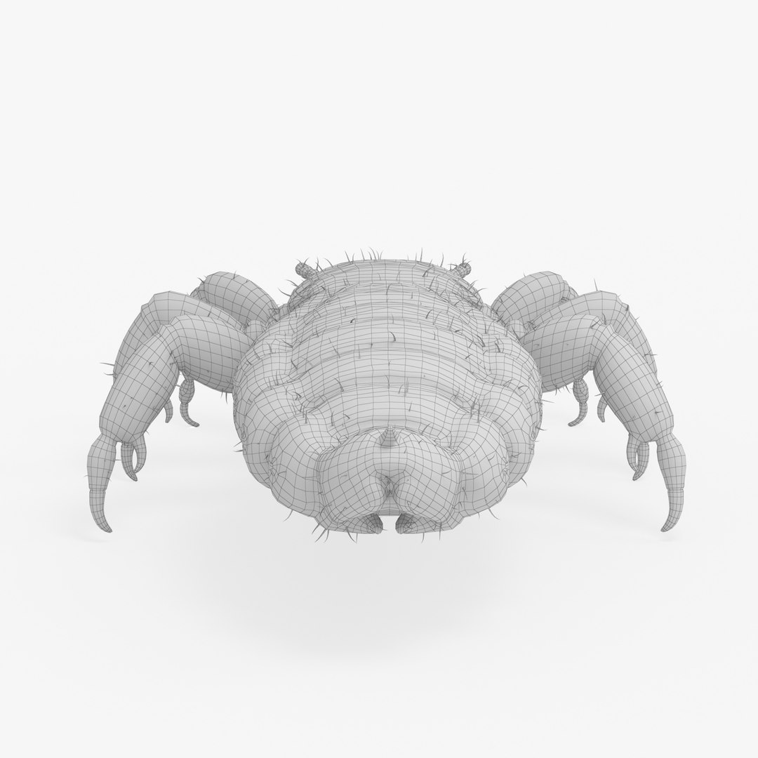 Louse animation bite model - TurboSquid 1393845