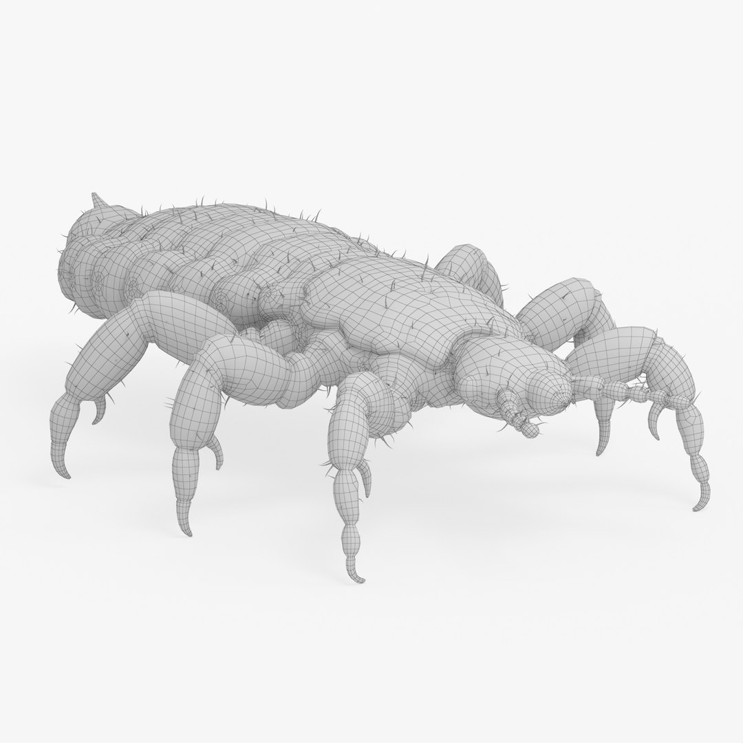 Louse animation bite model - TurboSquid 1393845
