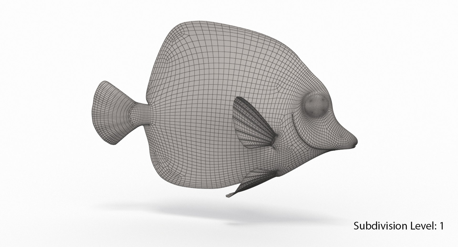 Yellow Tang Fish Animation 3D Model - TurboSquid 1288742