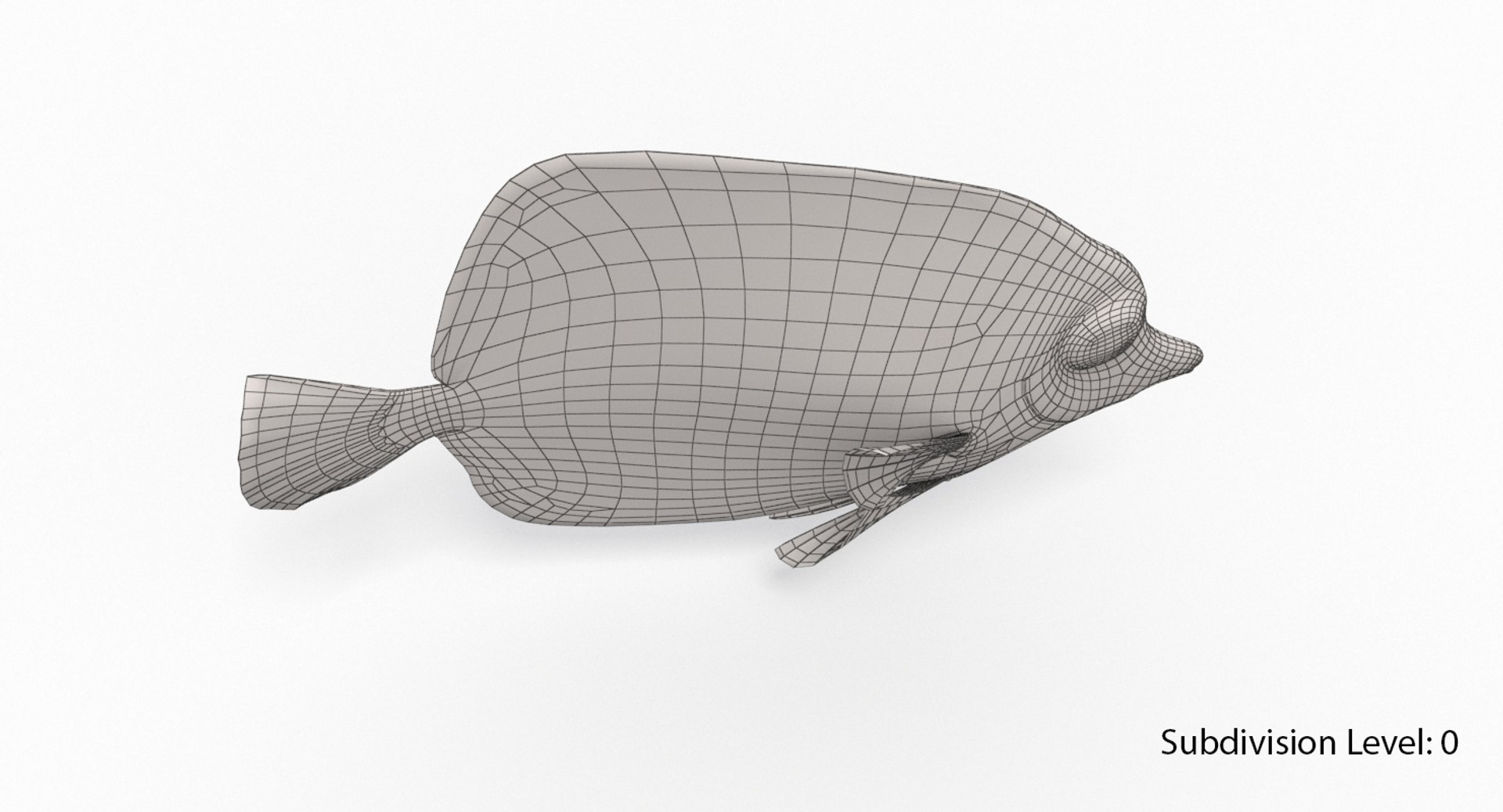 Yellow Tang Fish Animation 3D Model - TurboSquid 1288742