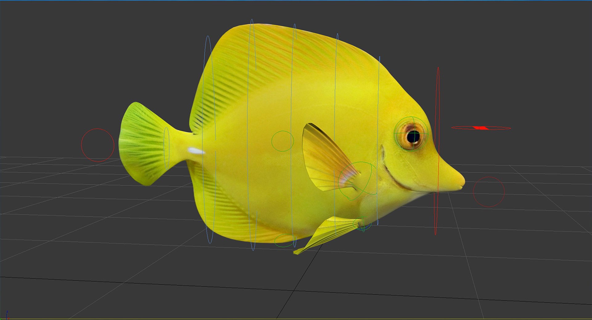 Yellow Tang Fish Animation 3D Model - TurboSquid 1288742