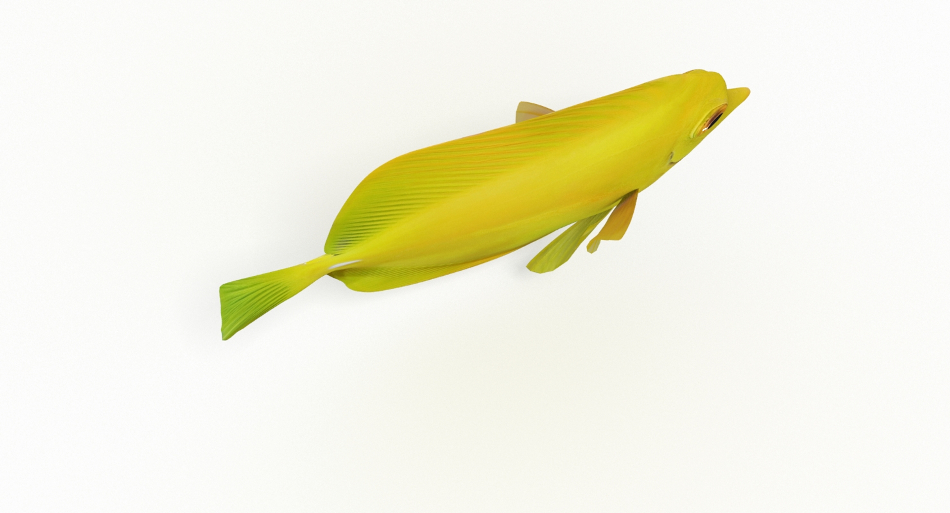 Yellow Tang Fish Animation 3D Model - TurboSquid 1288742