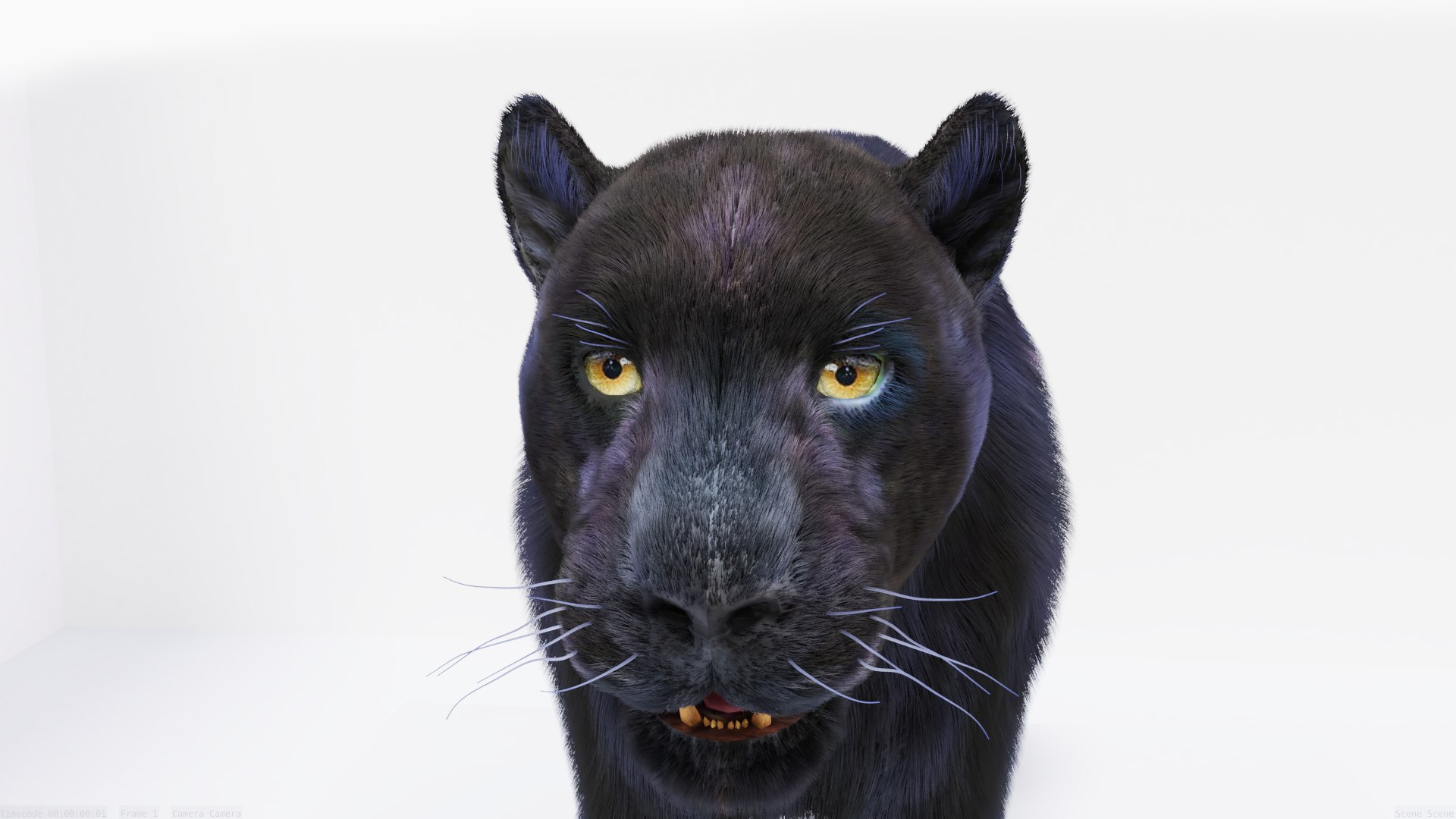 3D Model Fur Black Panther - TurboSquid 1701534
