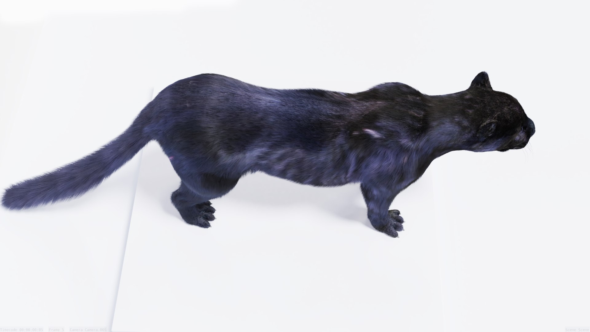 3D Model Fur Black Panther - TurboSquid 1701534