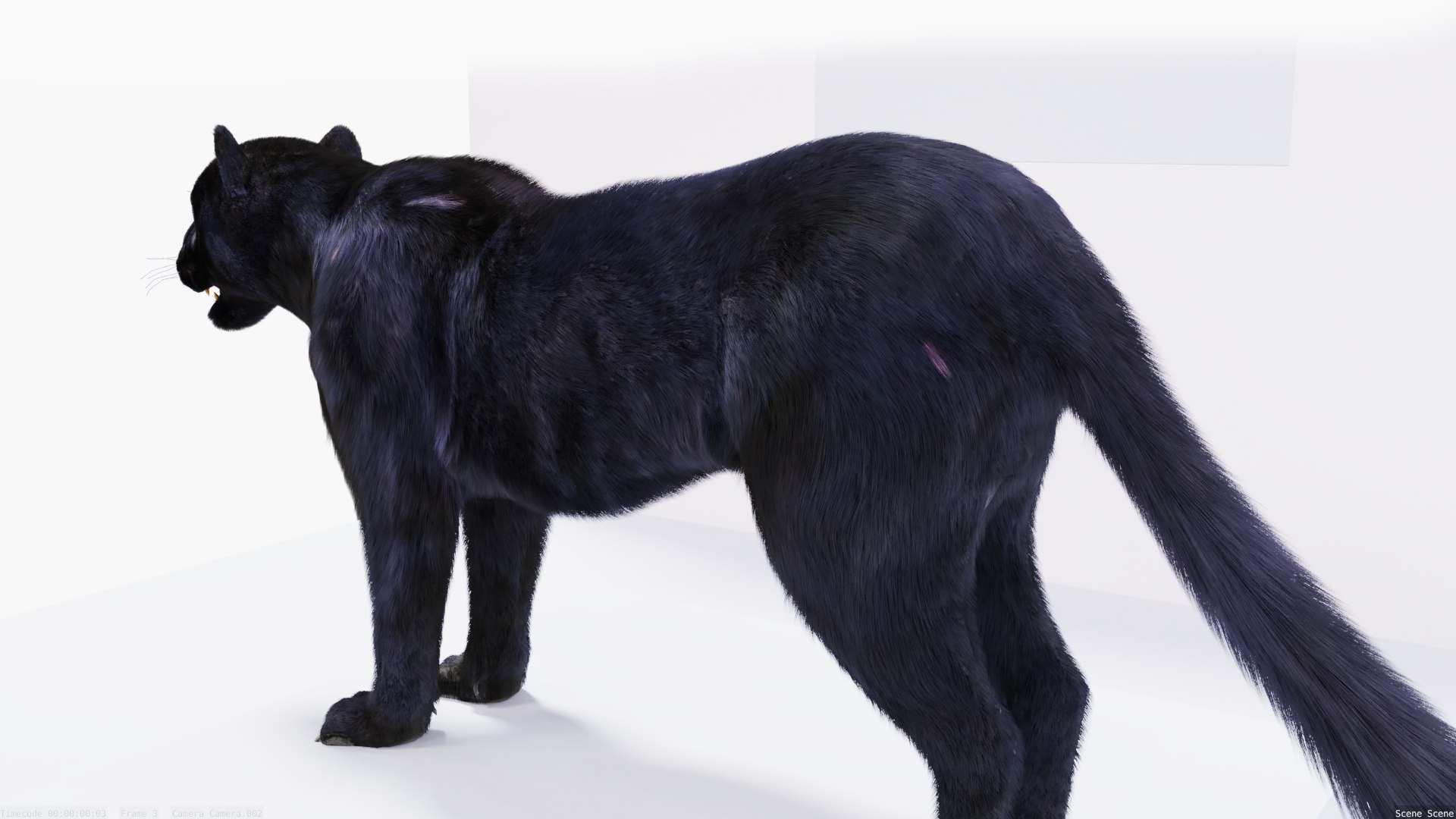 3D Model Fur Black Panther - TurboSquid 1701534