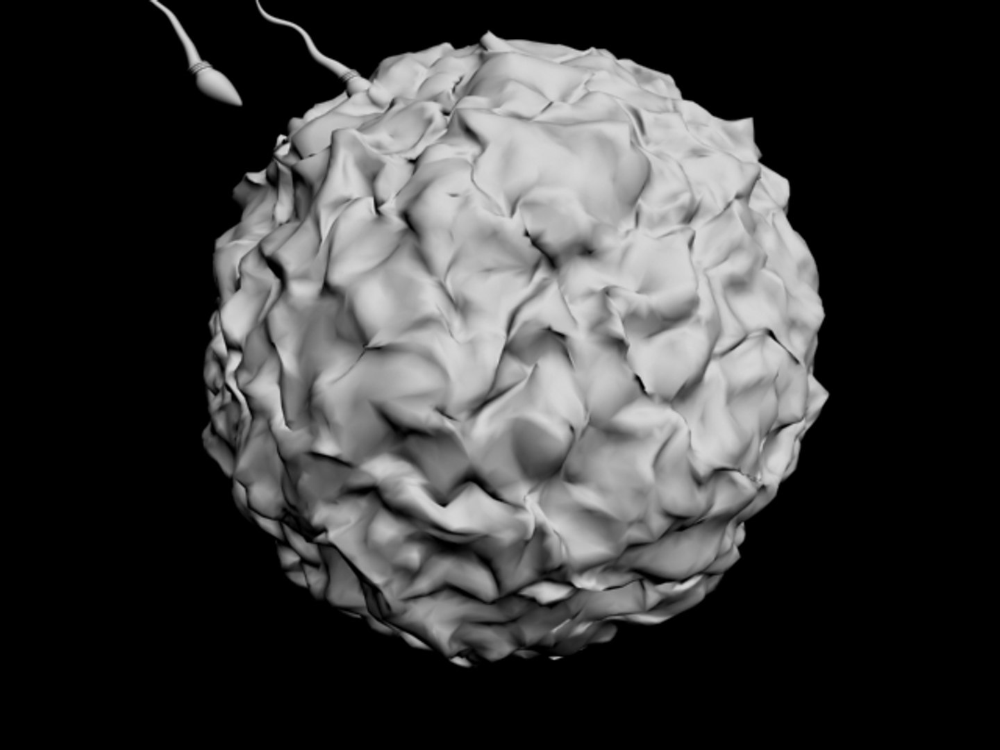 Max Sperm Female Ovum