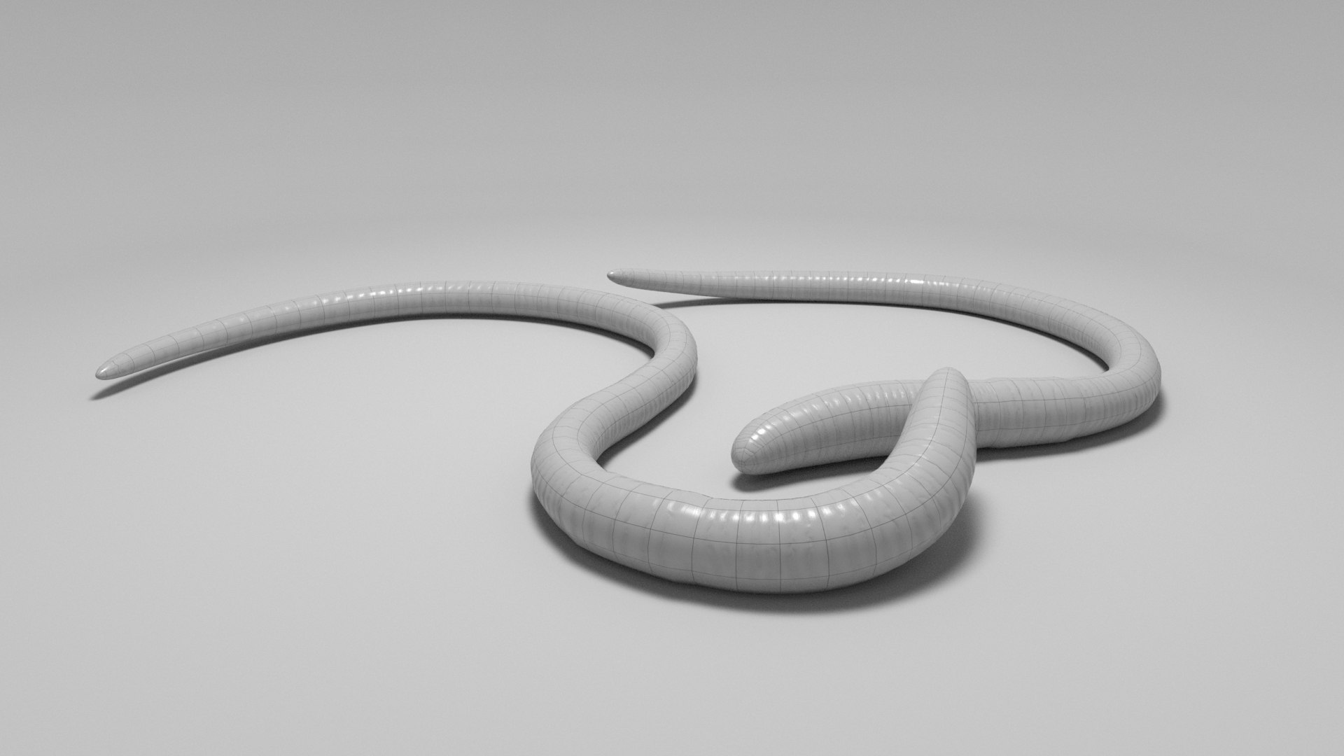 3D Earthworm - TurboSquid 1989181