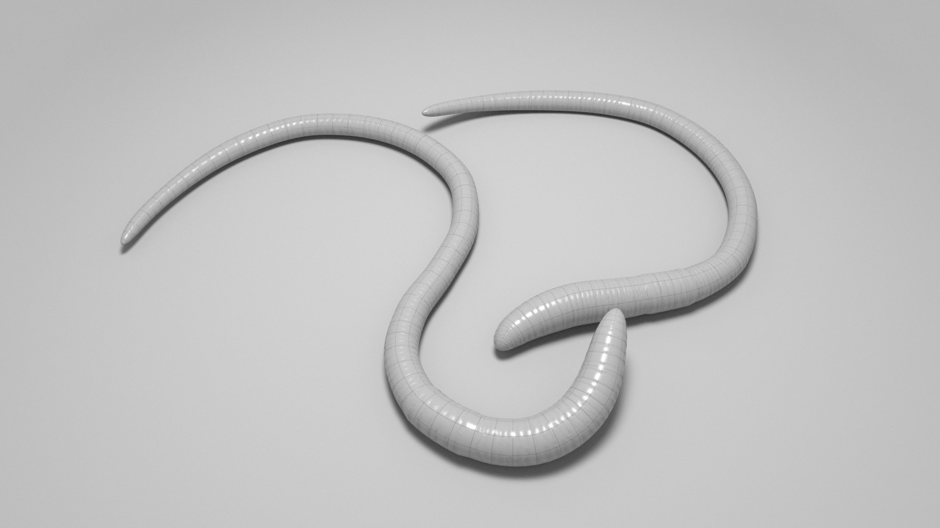 3D Earthworm - TurboSquid 1989181