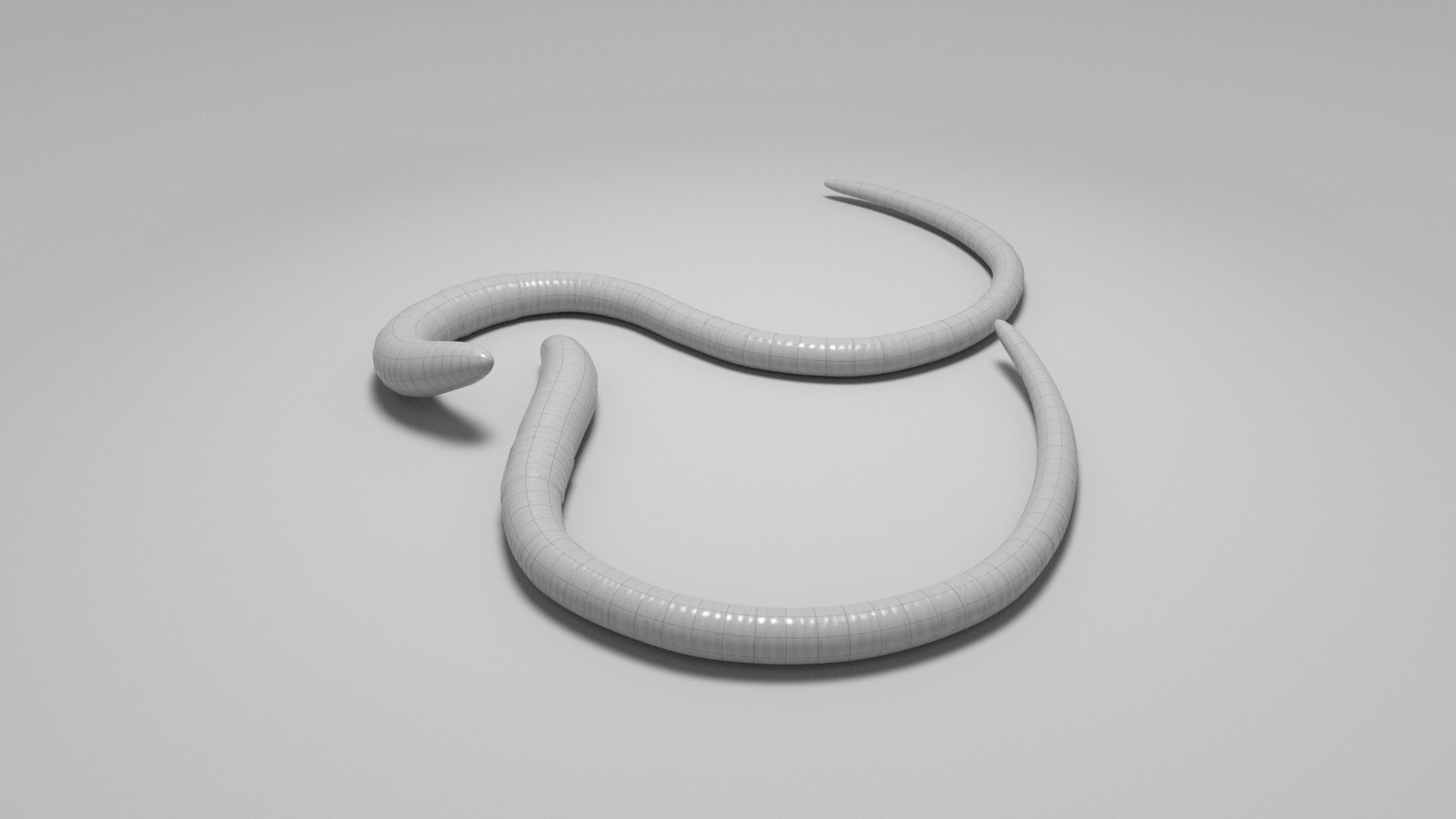 3D Earthworm - TurboSquid 1989181