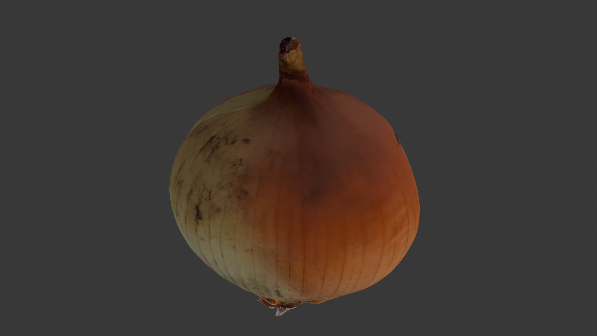 Onion 3D Scan 3D Model - TurboSquid 2404935