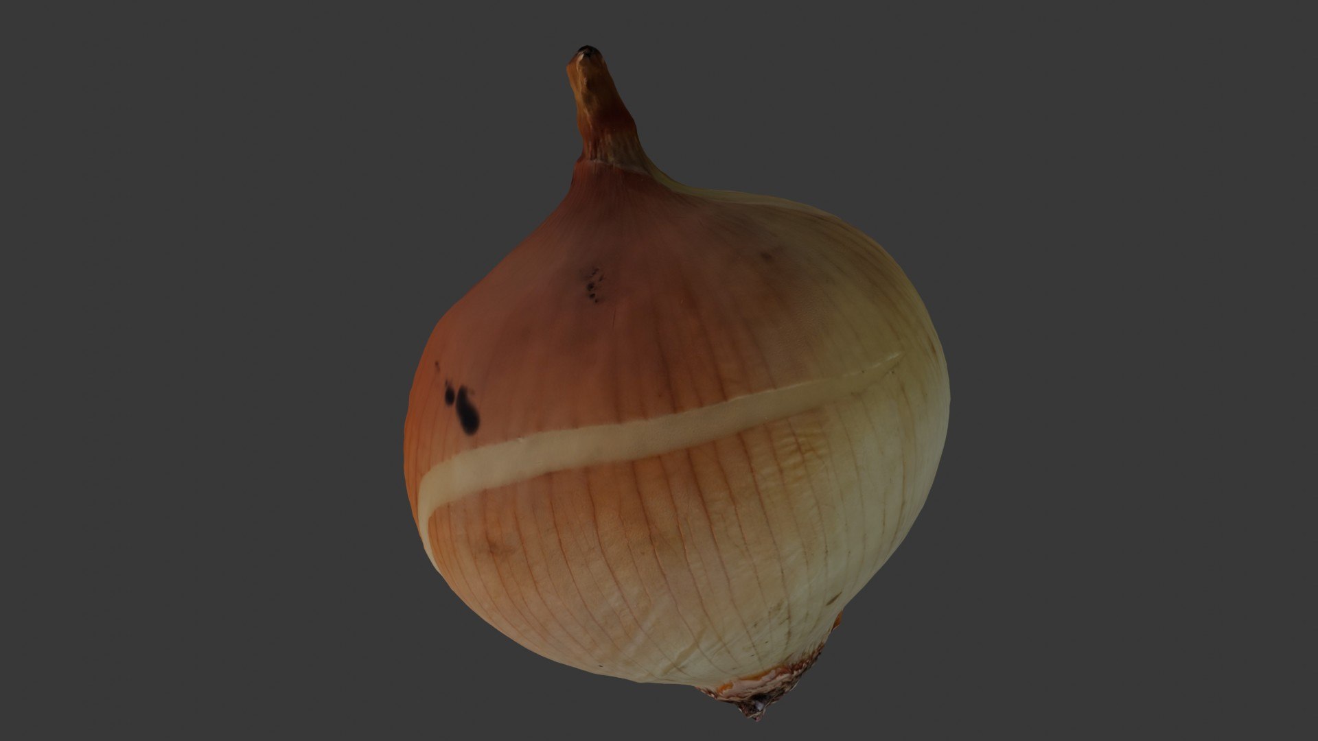 Onion 3D Scan 3D Model - TurboSquid 2404935