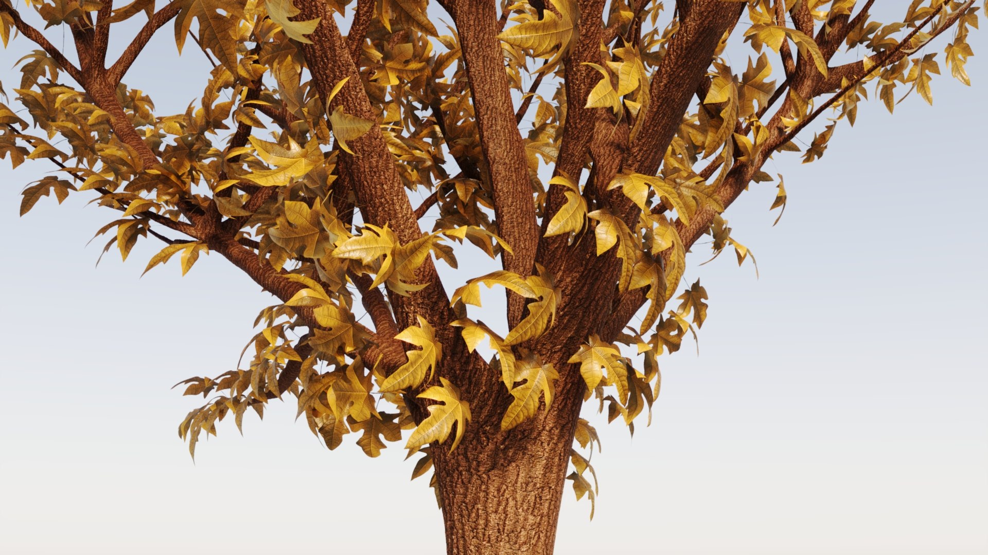 3D Tree Pack - TurboSquid 2167864