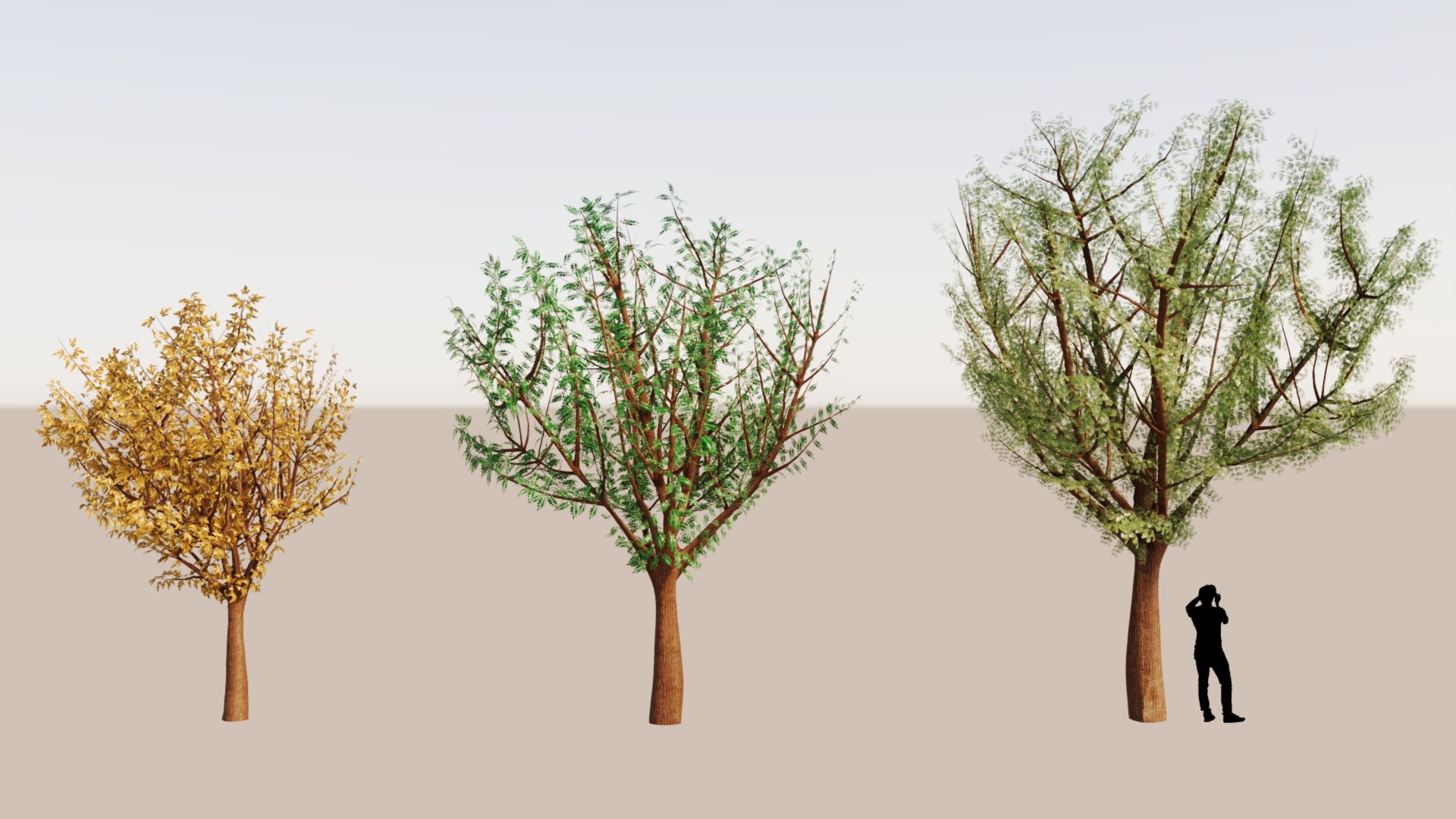 3D Tree Pack - TurboSquid 2167864