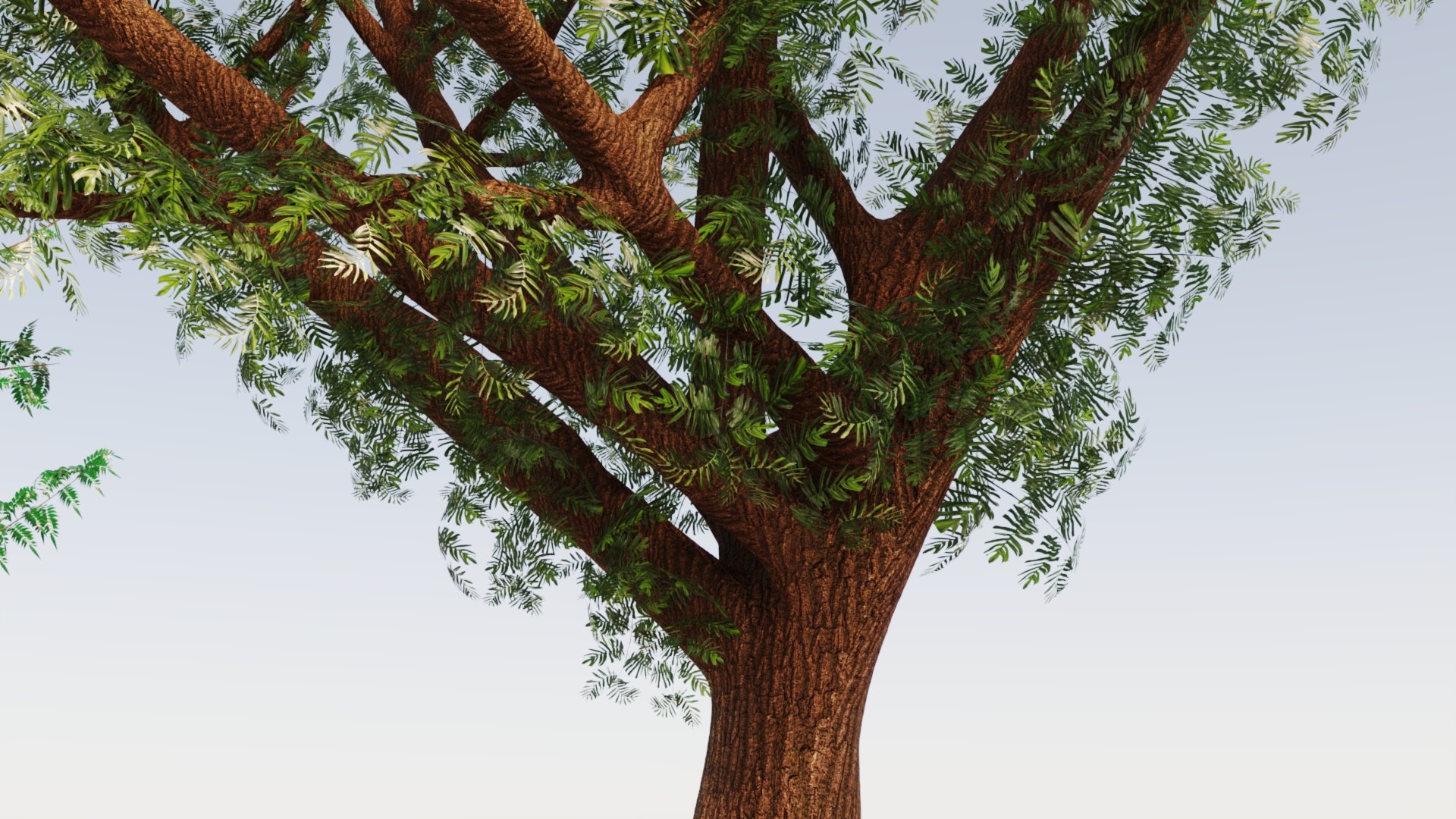 3D Tree Pack - TurboSquid 2167864
