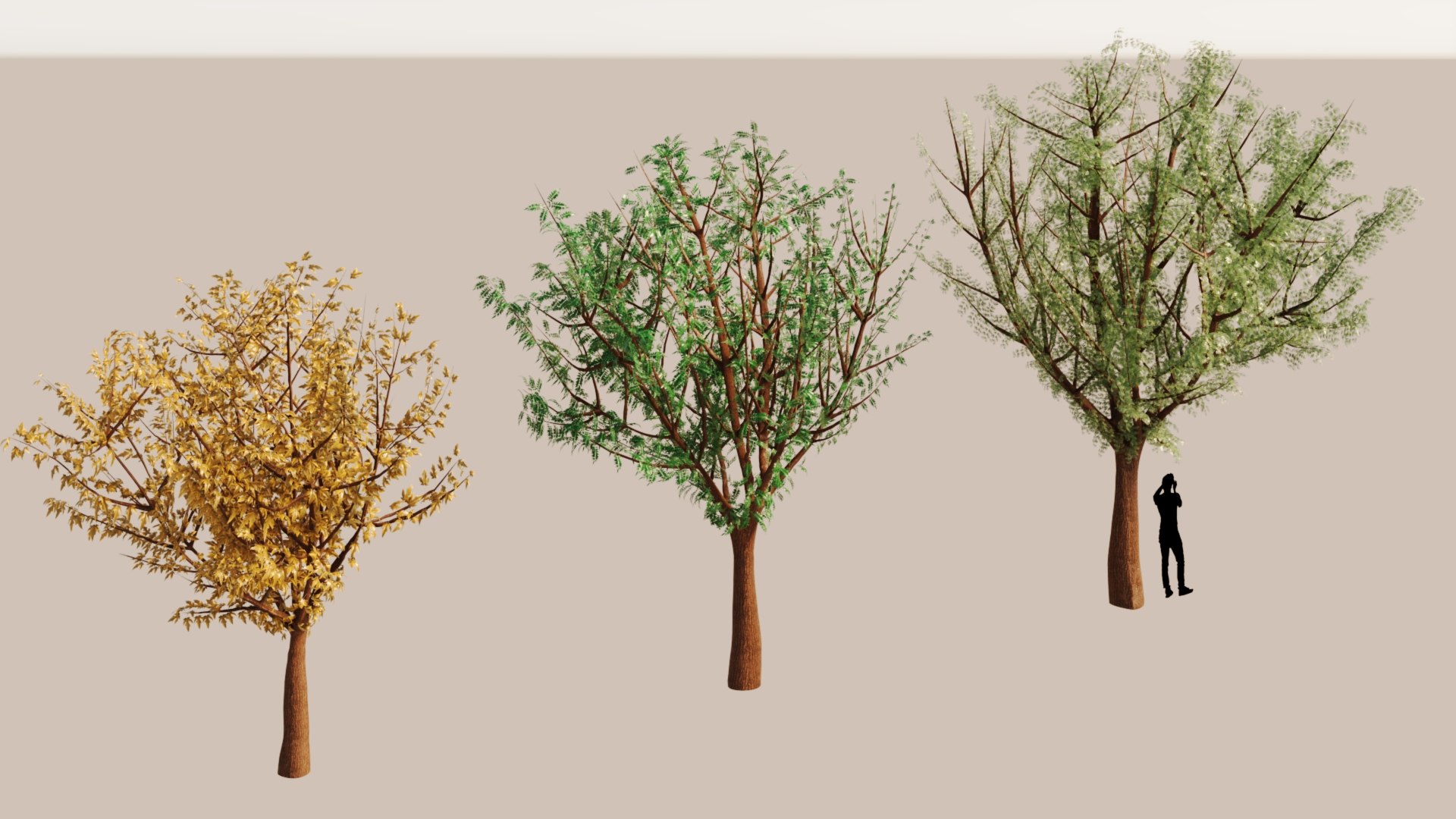 3D Tree Pack - TurboSquid 2167864