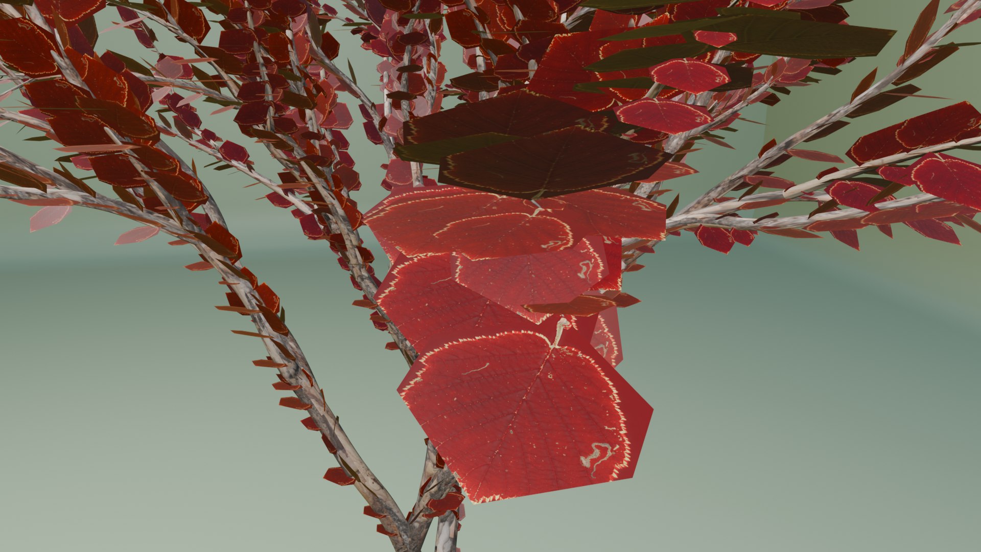 Red-leafed Shrub Acalypha Wilkesiana 3D - TurboSquid 2333847