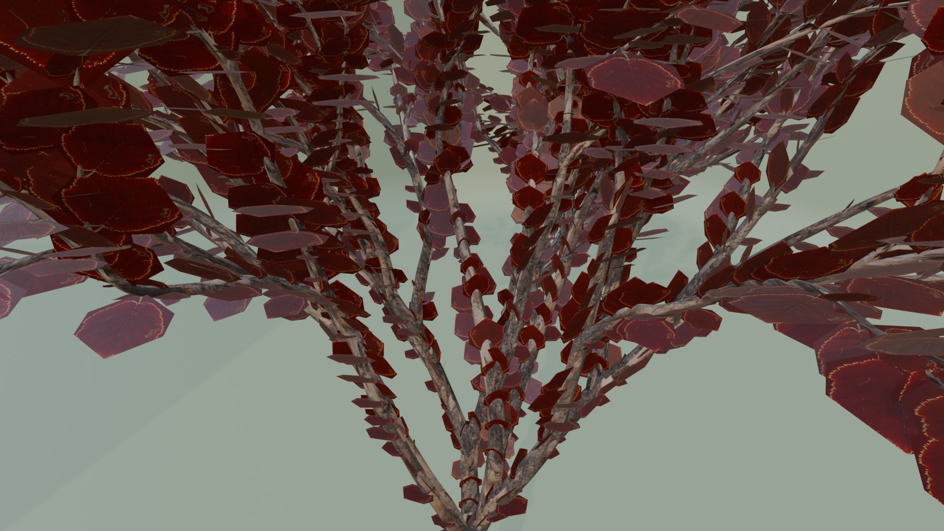 Red-leafed Shrub Acalypha Wilkesiana 3D - TurboSquid 2333847