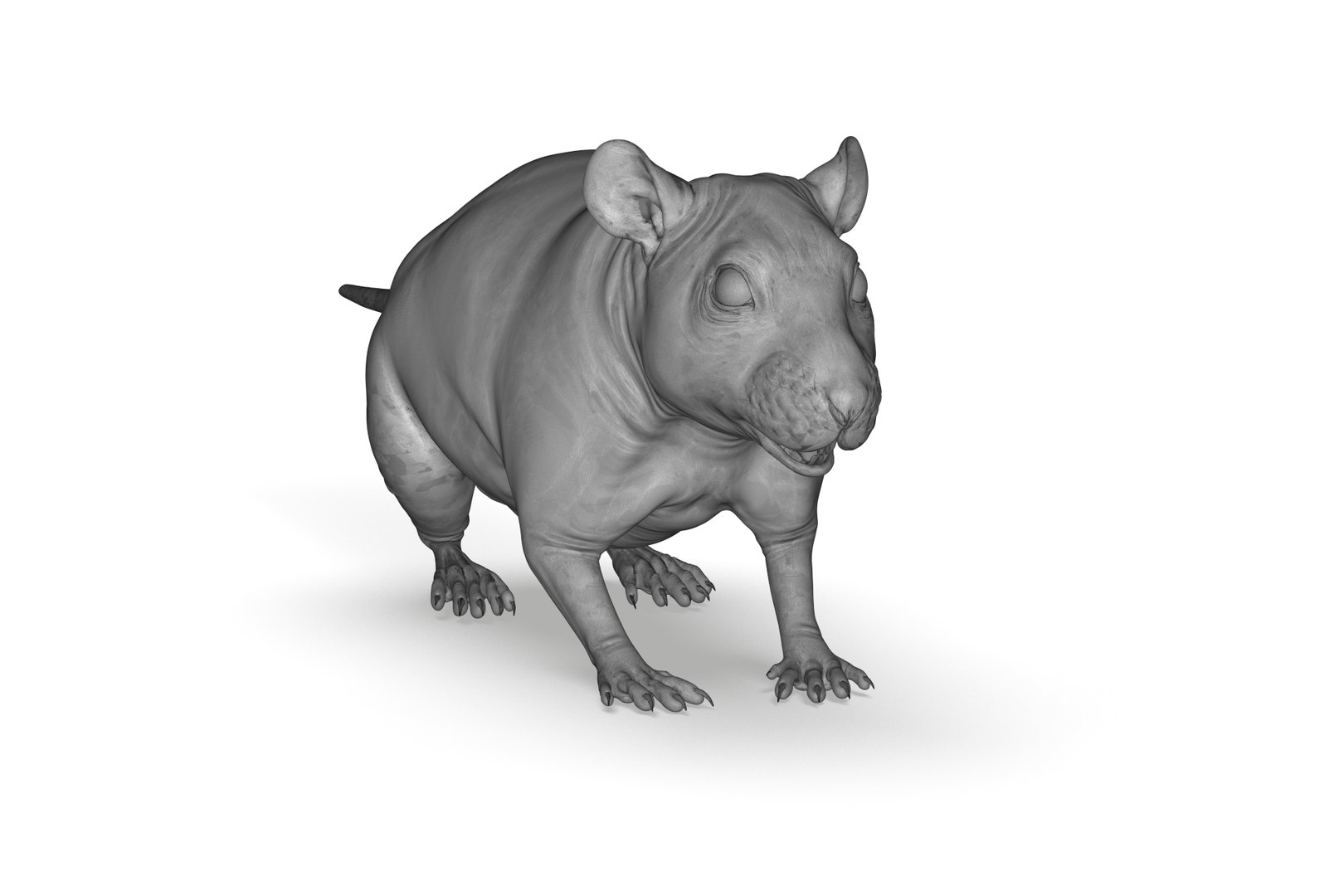 3D Rat Model - TurboSquid 2213668