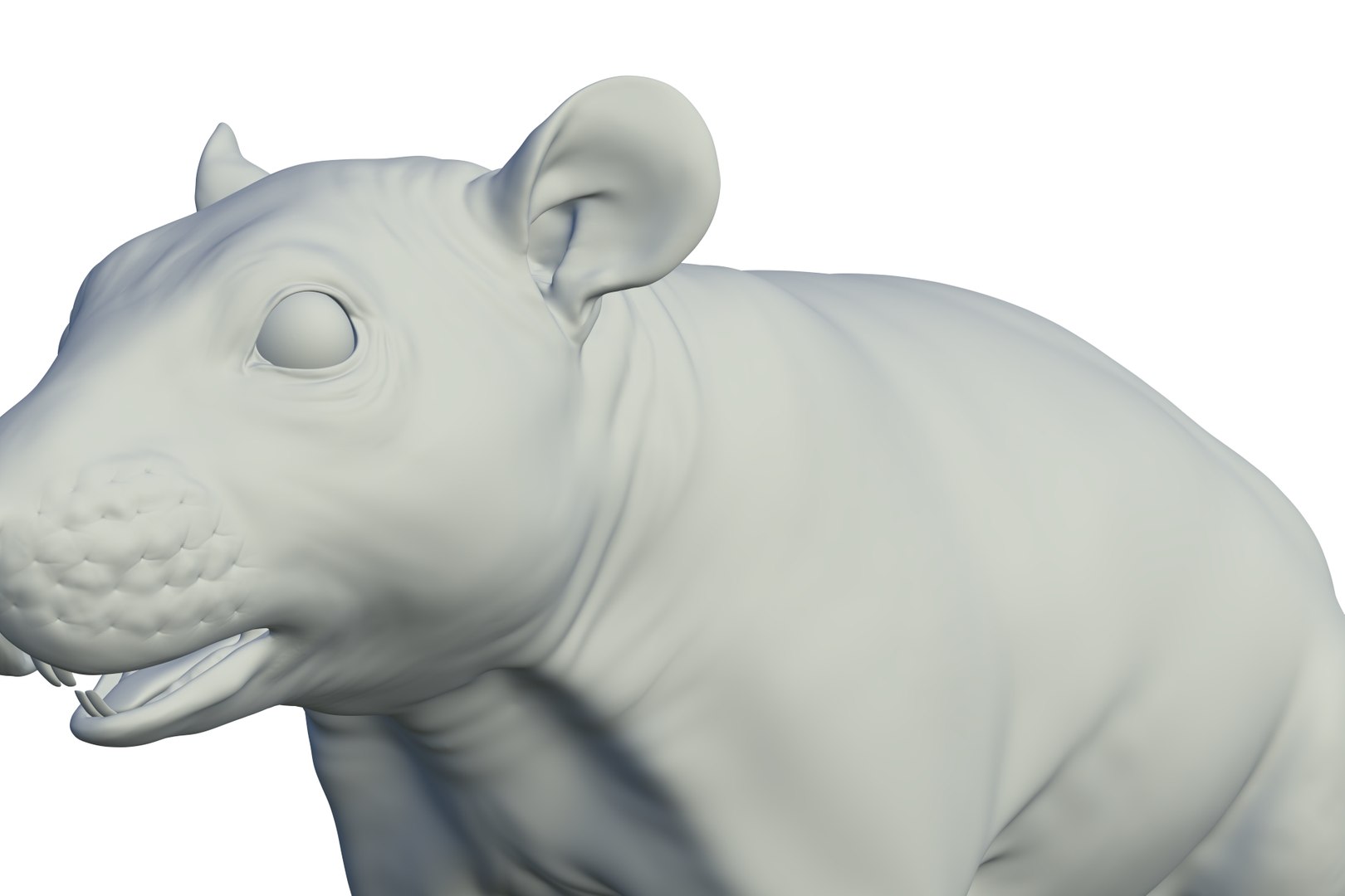 3D Rat Model - TurboSquid 2213668