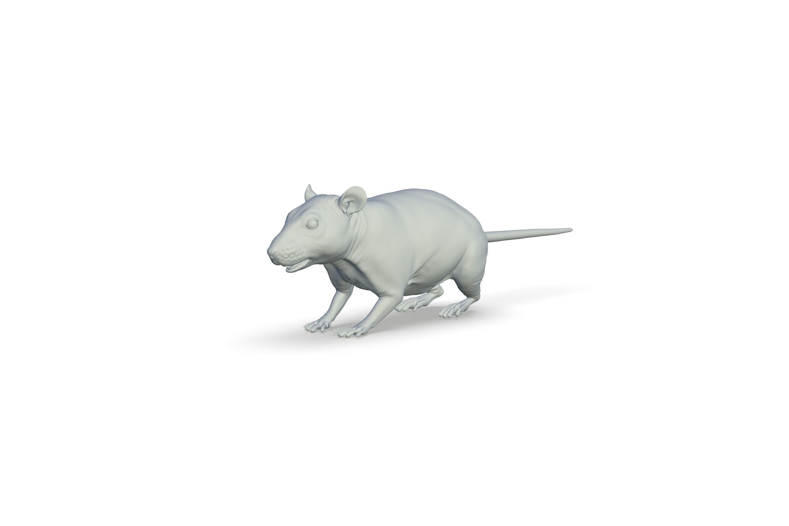 3D Rat Model - TurboSquid 2213668