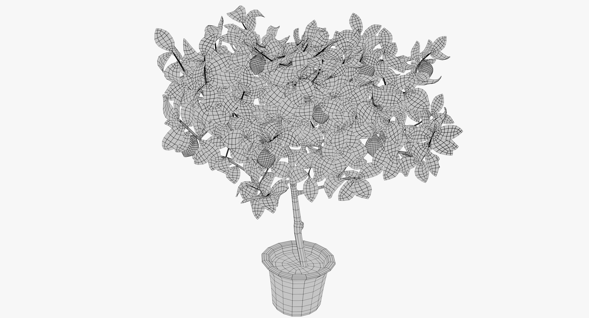 3D Model Lemon Tree - TurboSquid 1457815