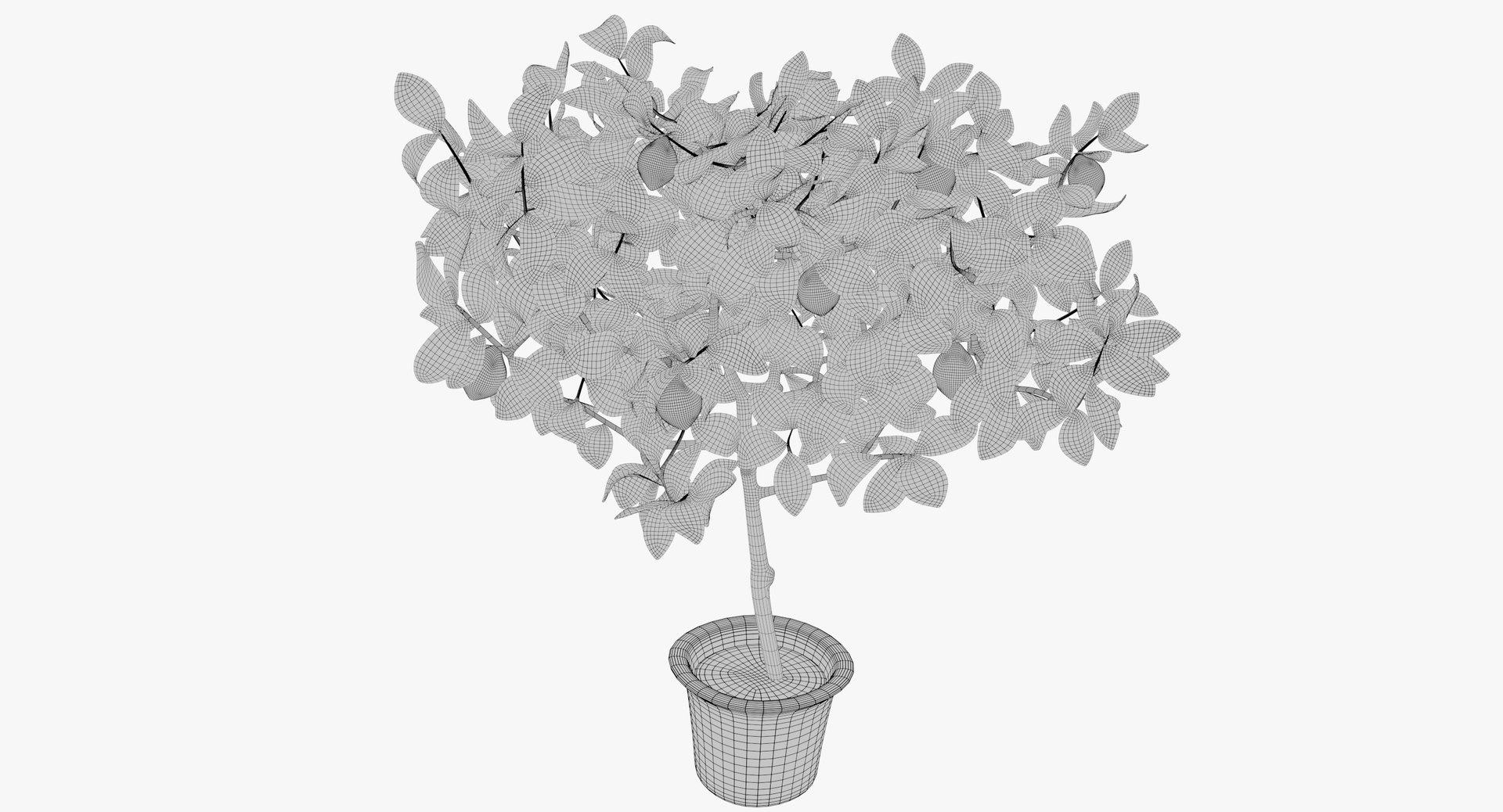 3D Model Lemon Tree - TurboSquid 1457815