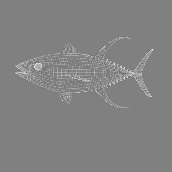 yellowfin tuna 3d model