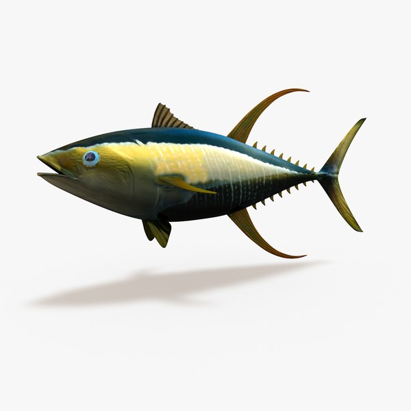 yellowfin tuna 3d model